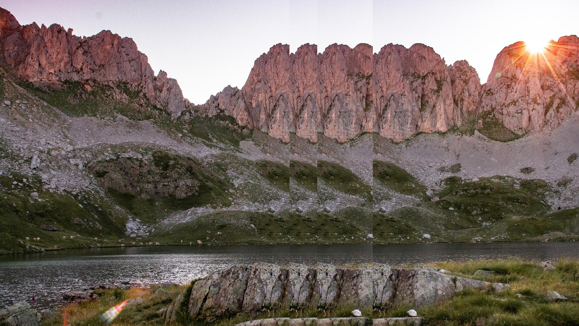 Noerr Studie zum Einfluss von ESG auf die Unternehmenstransformation