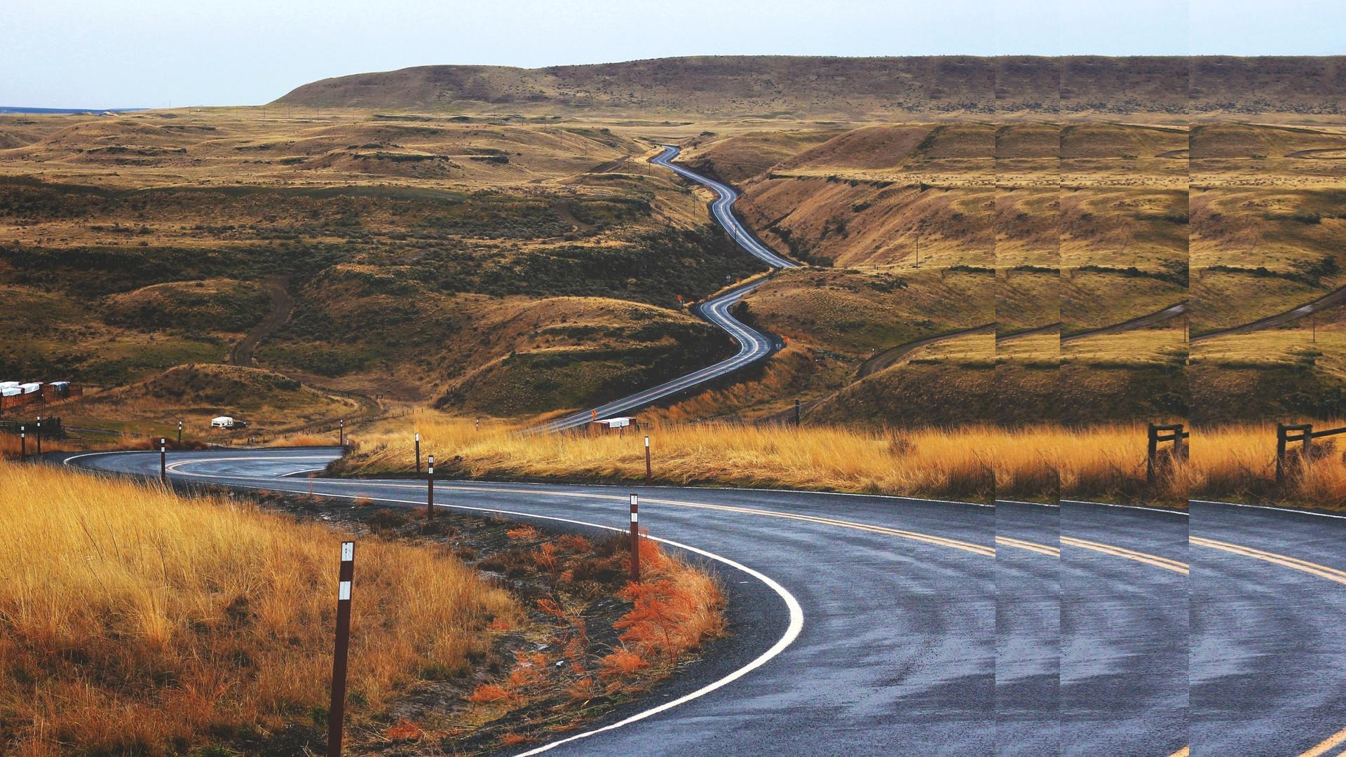 New standard data protection clauses and new standard contractual clauses